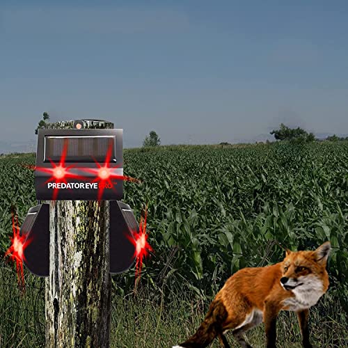 Secure Your Home Naturally: The Ultimate Solar Powered Predator Light ...