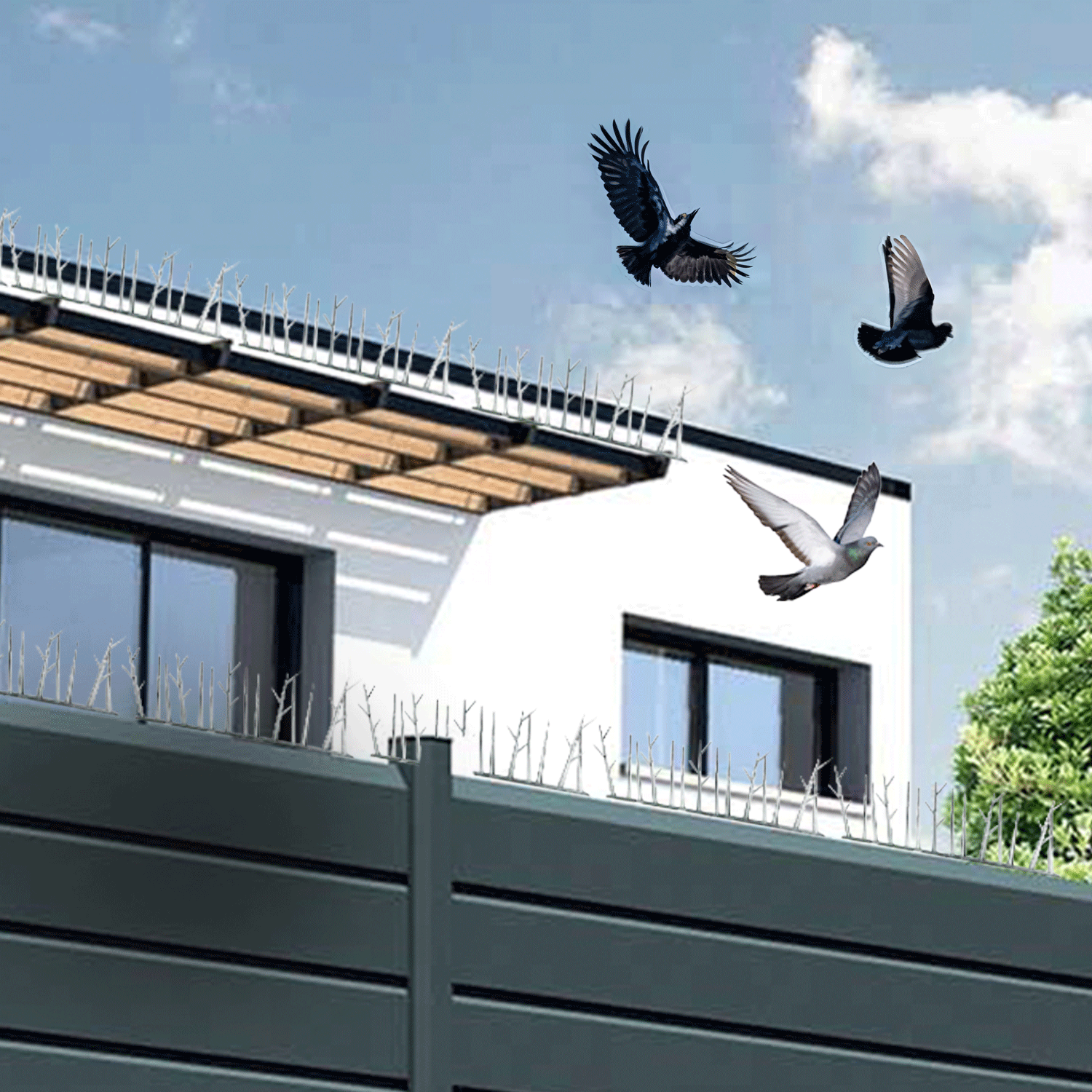 Understanding the Importance of Bird Spikes Kit: A Simple Guide – Aspectek