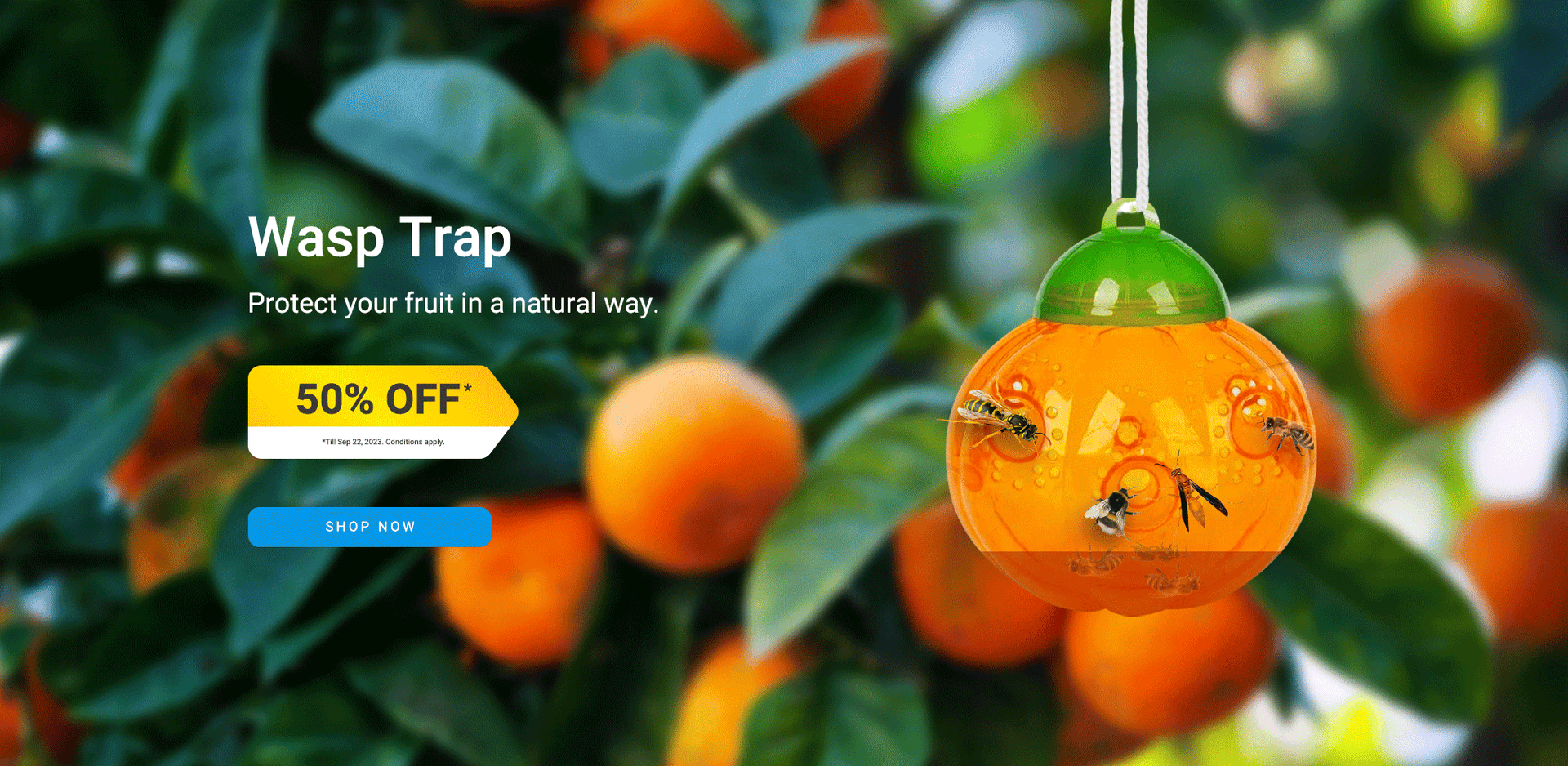 Aspectek | Designed for You | High Quality Products for your Home